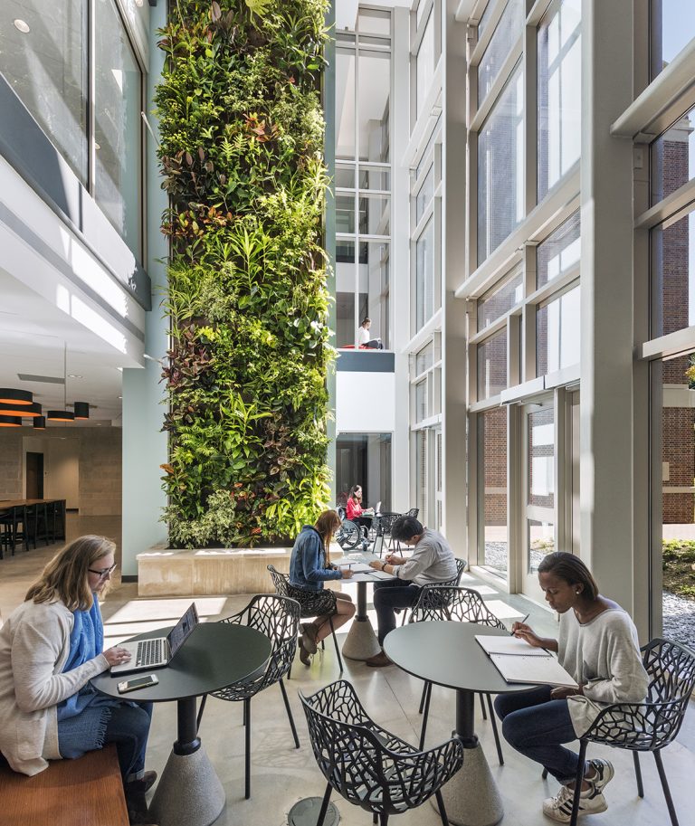 The relationship between empathy and design - Shepley Bulfinch