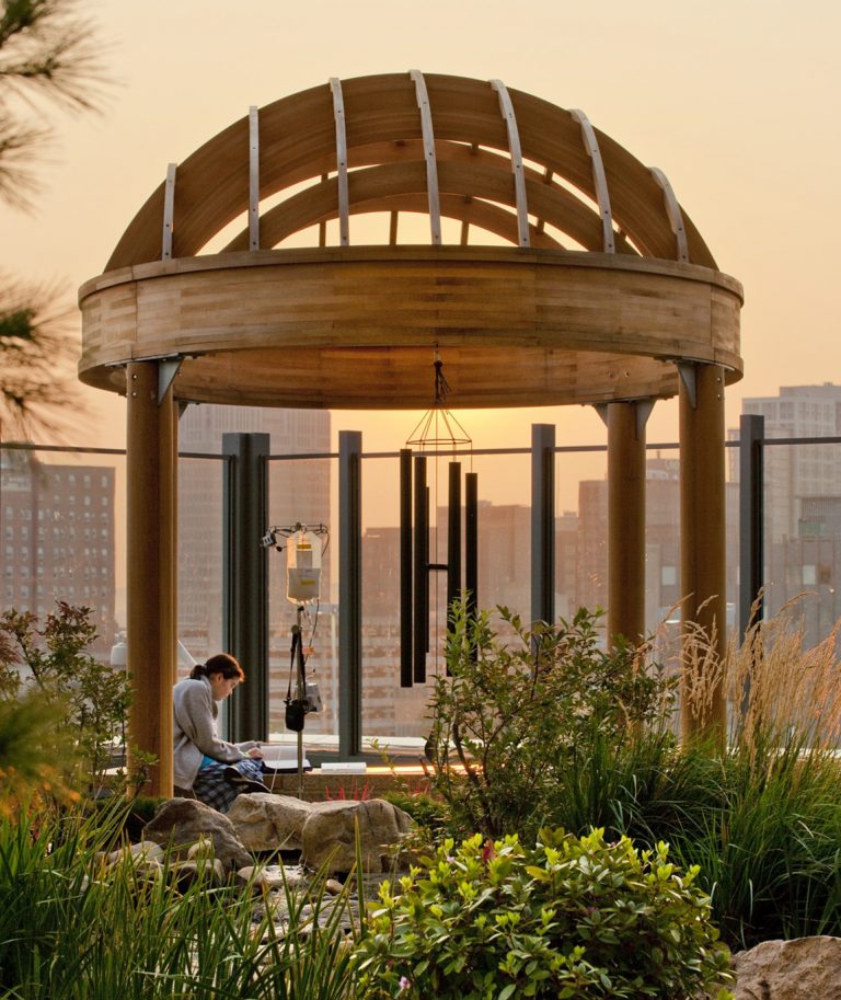 Six Principles of Biophilic Design - Biophilic Design Elements