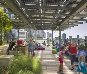 Six Principles of Biophilic Design - Biophilic Design Elements