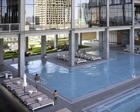 X Phoenix - Shepley Bulfinch