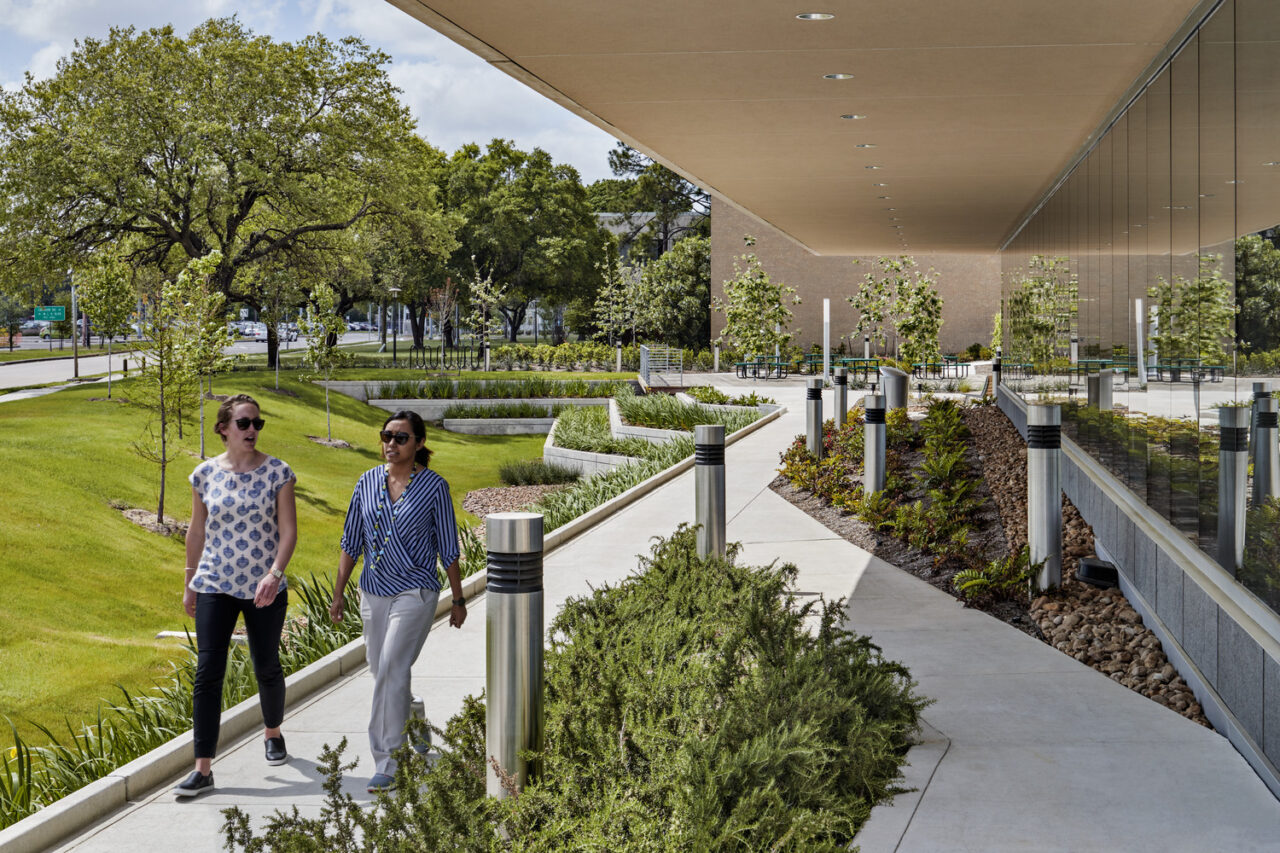 The intersection of creativity and teamwork in the sciences - Shepley ...